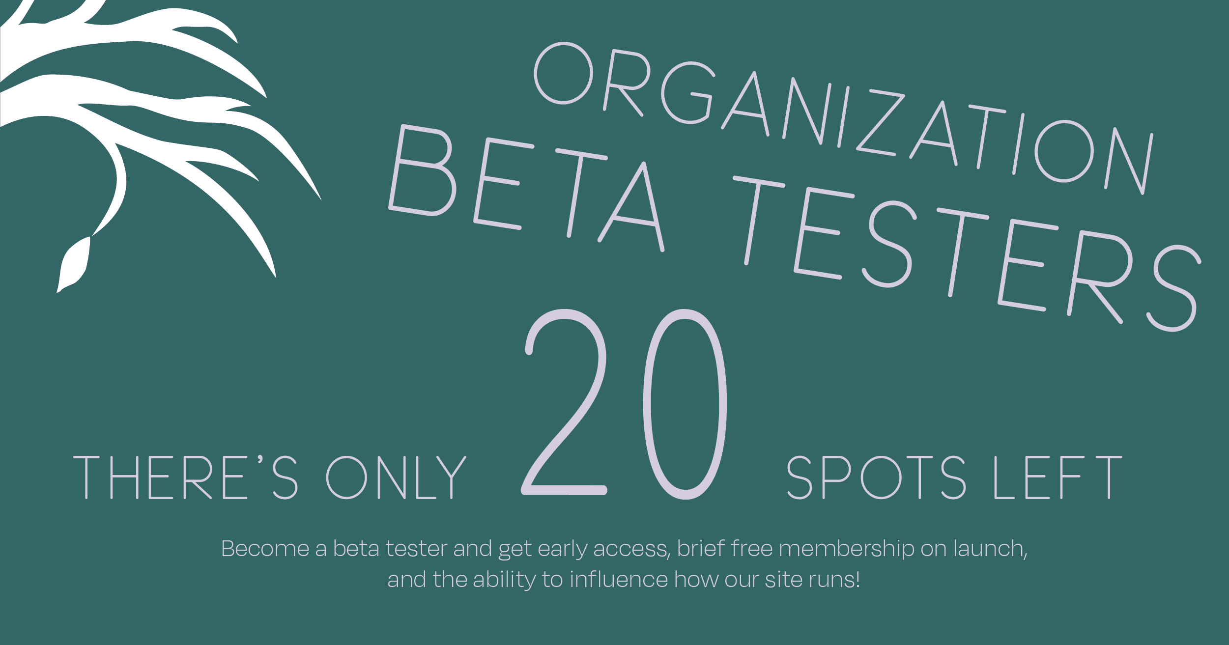 We Need Beta Organizations! - Find Wise Ones